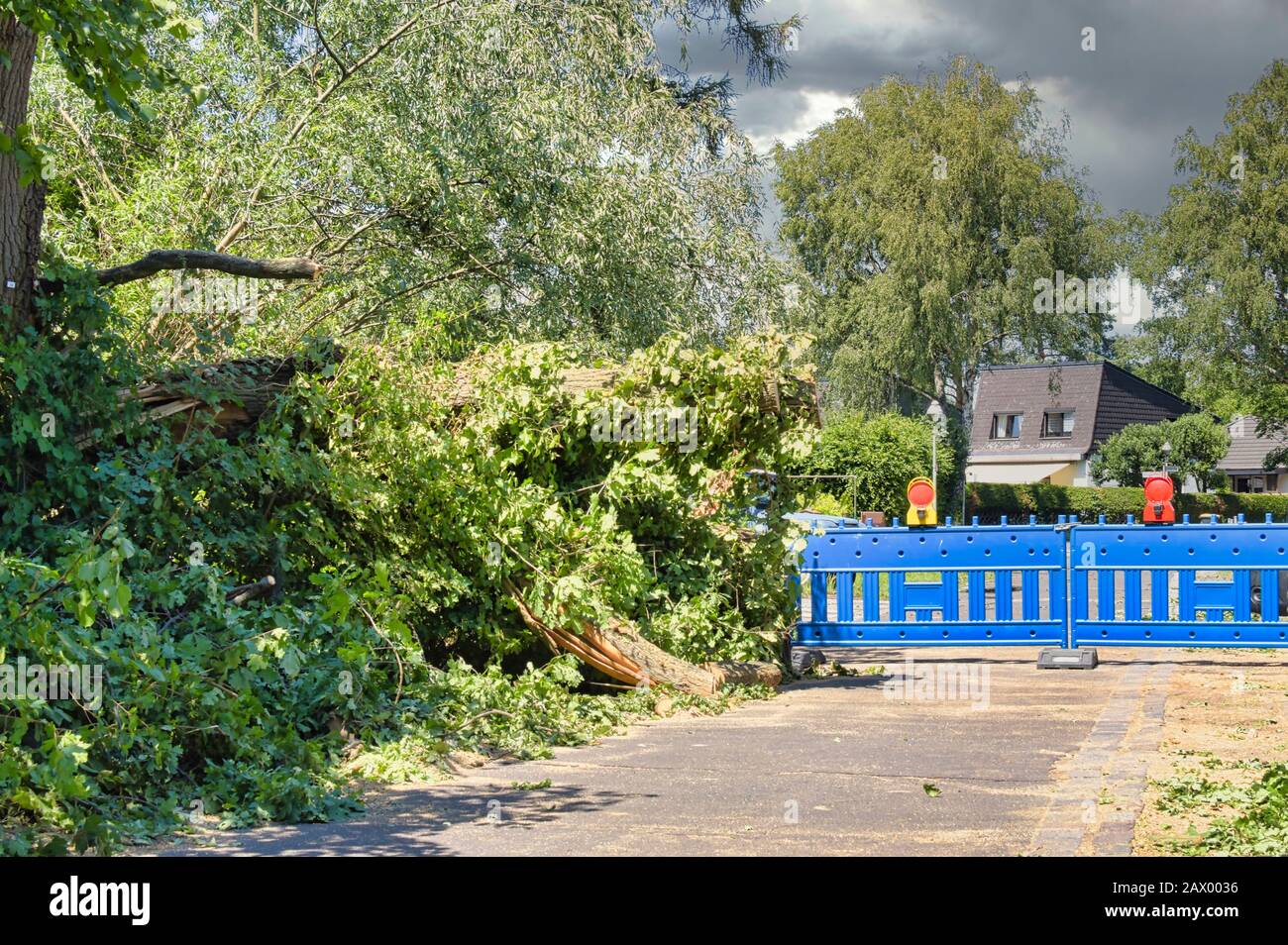 Tree down across road hi-res stock photography and images - Alamy