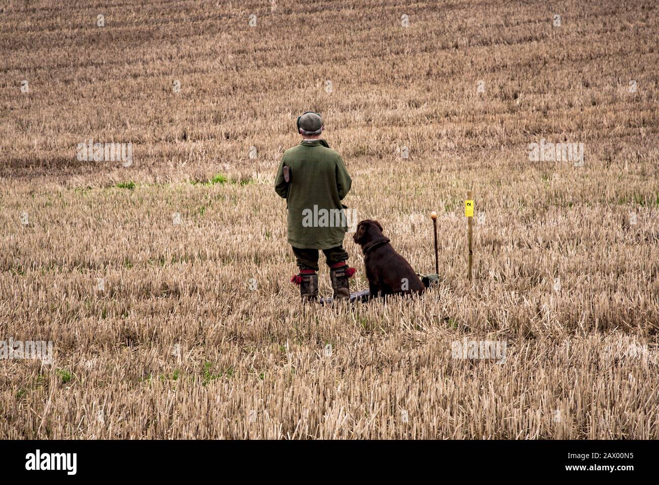 Aged male and his dog standing in the field waiting to pick up the ...
