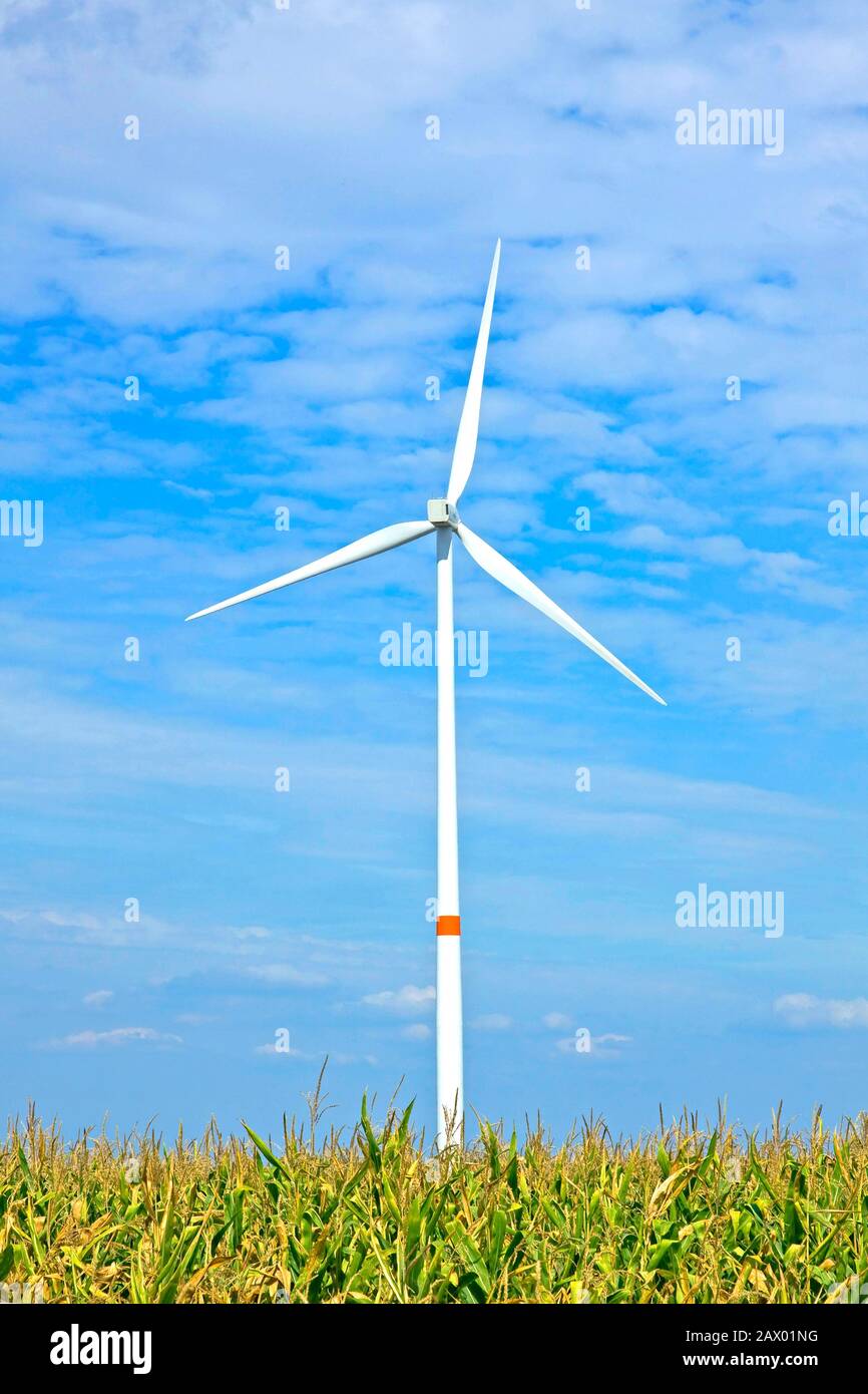 wind wheel on blue sky with cornfield Stock Photo - Alamy