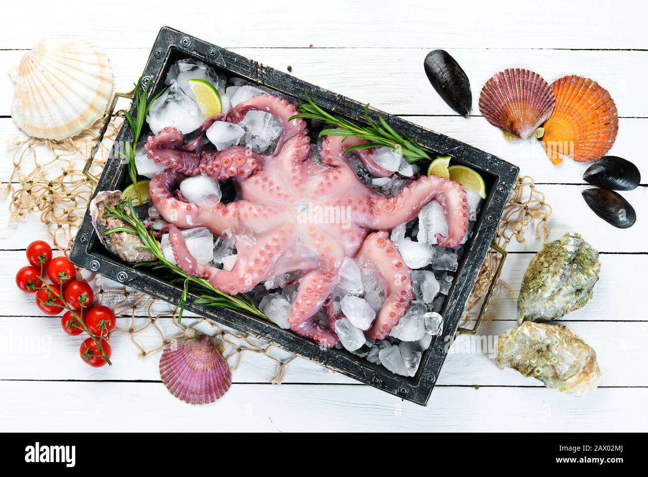Raw octopus in a box with ice. Free space for your text. flat lay Stock ...