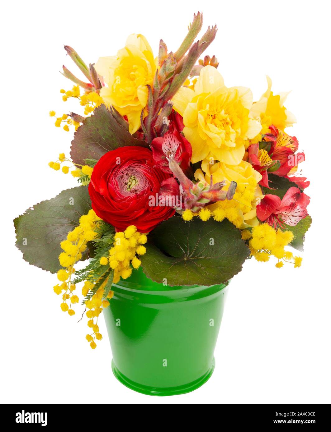 Spring flowers composition on a bucket isolated on white background ...