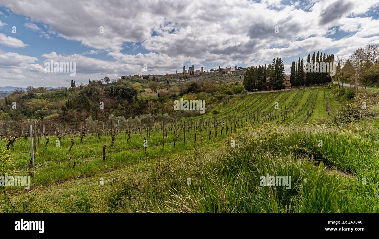 Tuscan paintings hi-res stock photography and images - Alamy