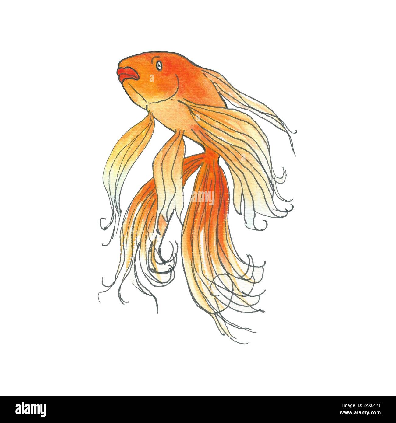 Goldfish Drawing
