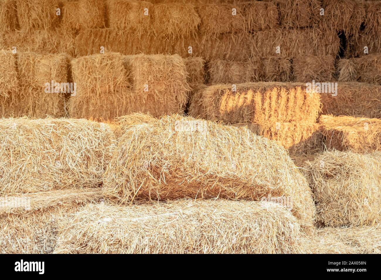 Rice straw bales storage hi-res stock photography and images - Alamy