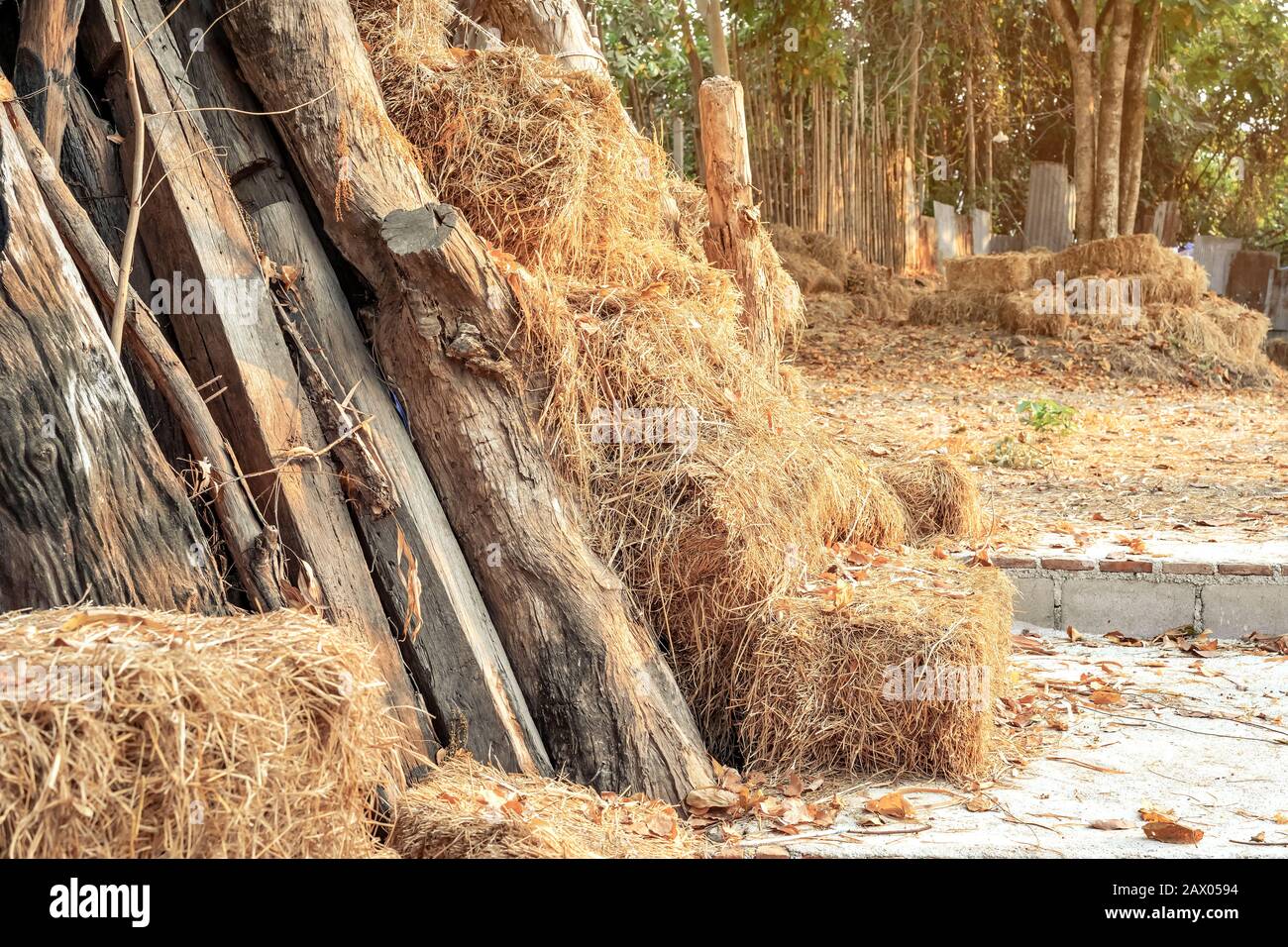 Baled timber hi-res stock photography and images - Alamy