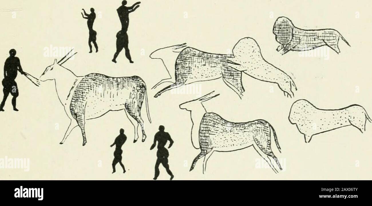 An introduction to the study of prehistoric art . ig. 156). The;human ...