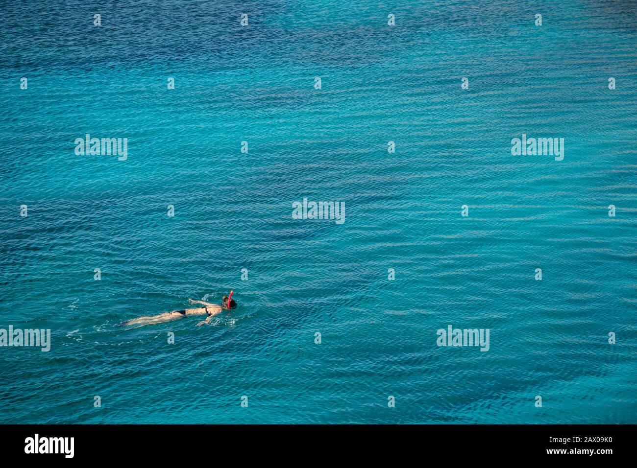 Wide angle shot of a person swimming in the water Stock Photo - Alamy