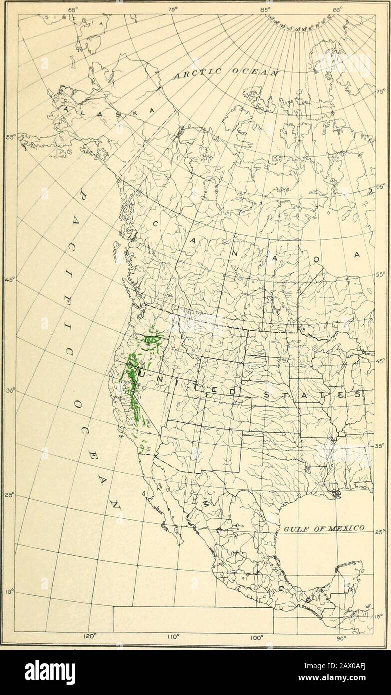 The cypress and juniper trees of the Rocky Mountain region . Juniperus ...