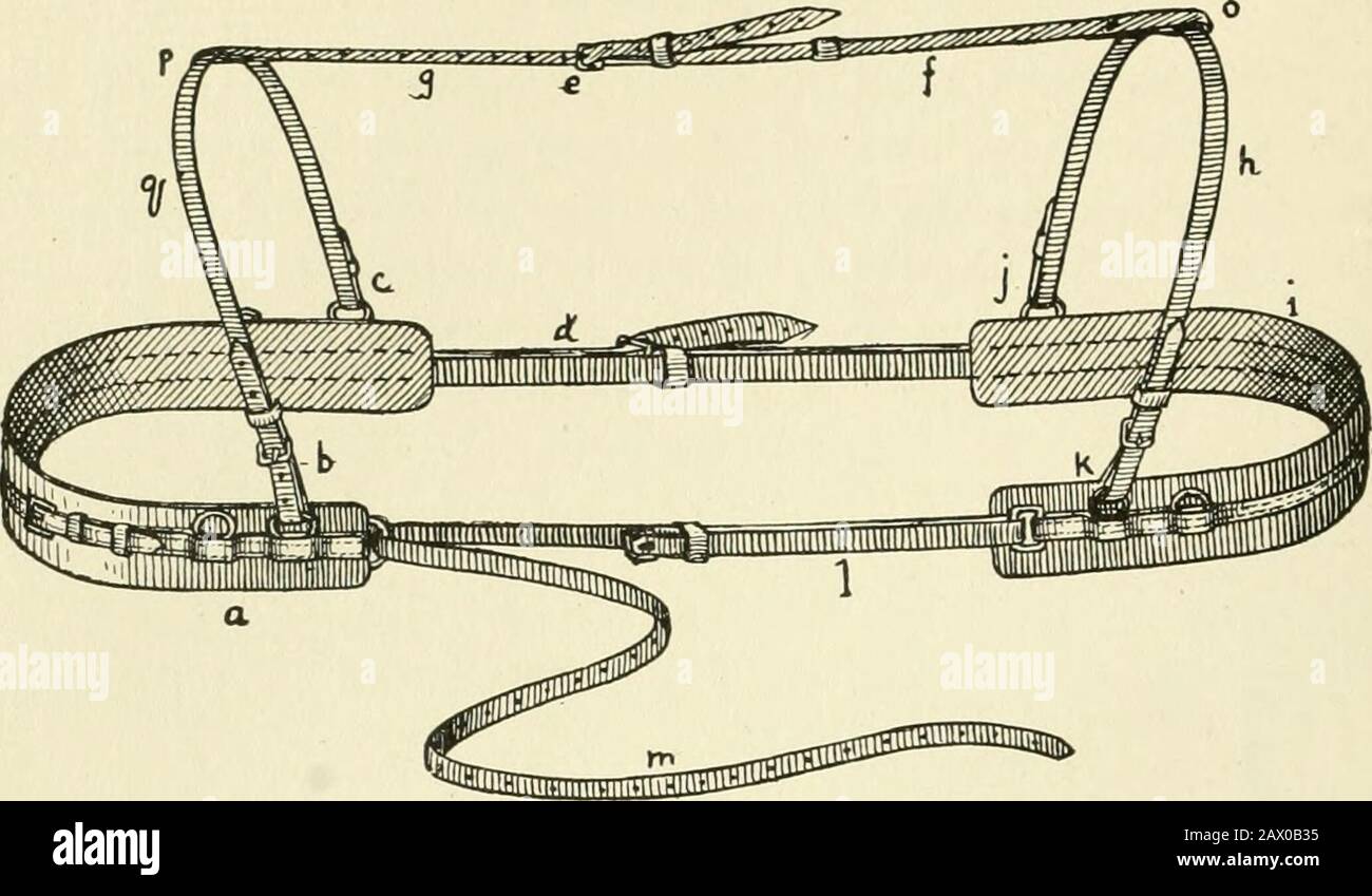Restraint of domestic animals; a book for the use of students and ...