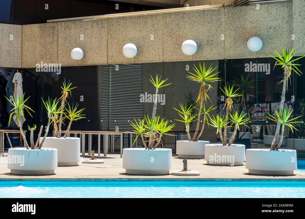 Pot plants in the forecourt of the Western Australia State Library ...