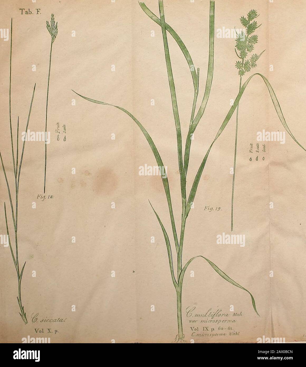 Ocar hi-res stock photography and images - Alamy