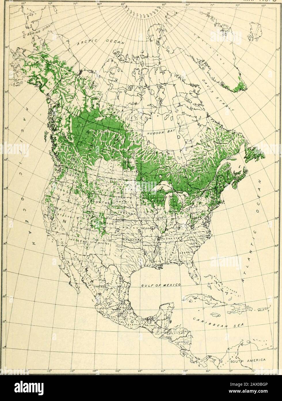 The cypress and juniper trees of the Rocky Mountain region . Cupressus ...