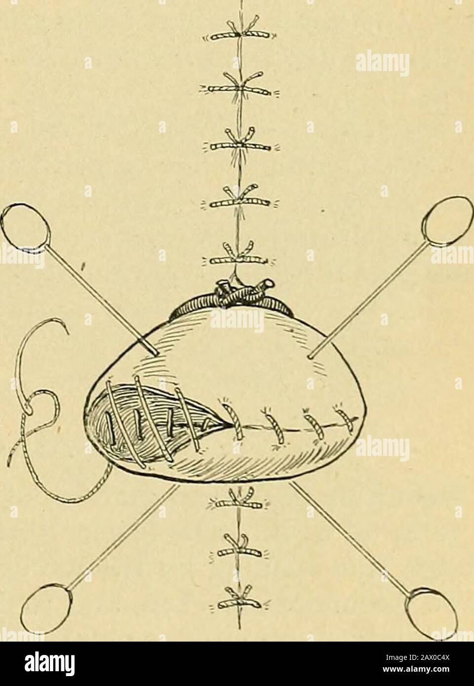 The practice of obstetrics, designed for the use of students and ...