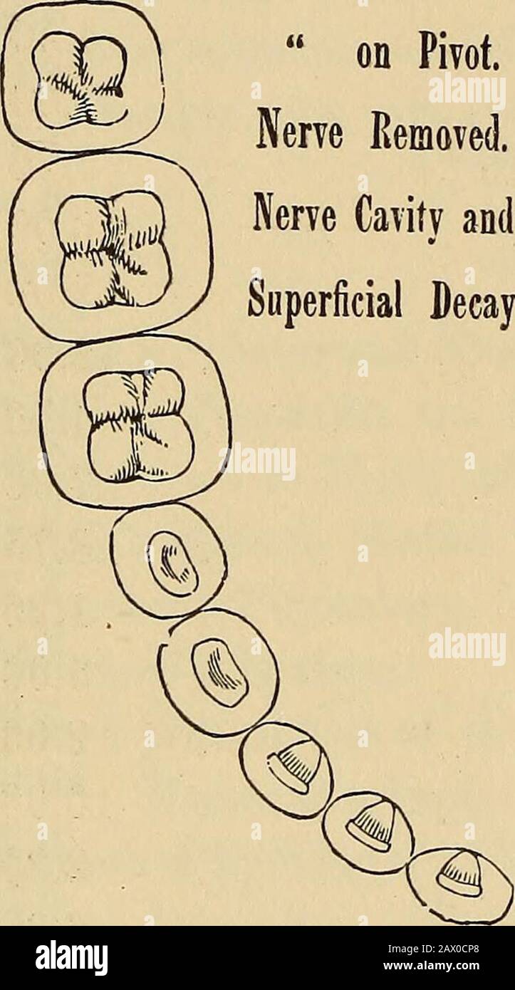Catalogue of dental materials, furniture, instruments, etc., for sale ...
