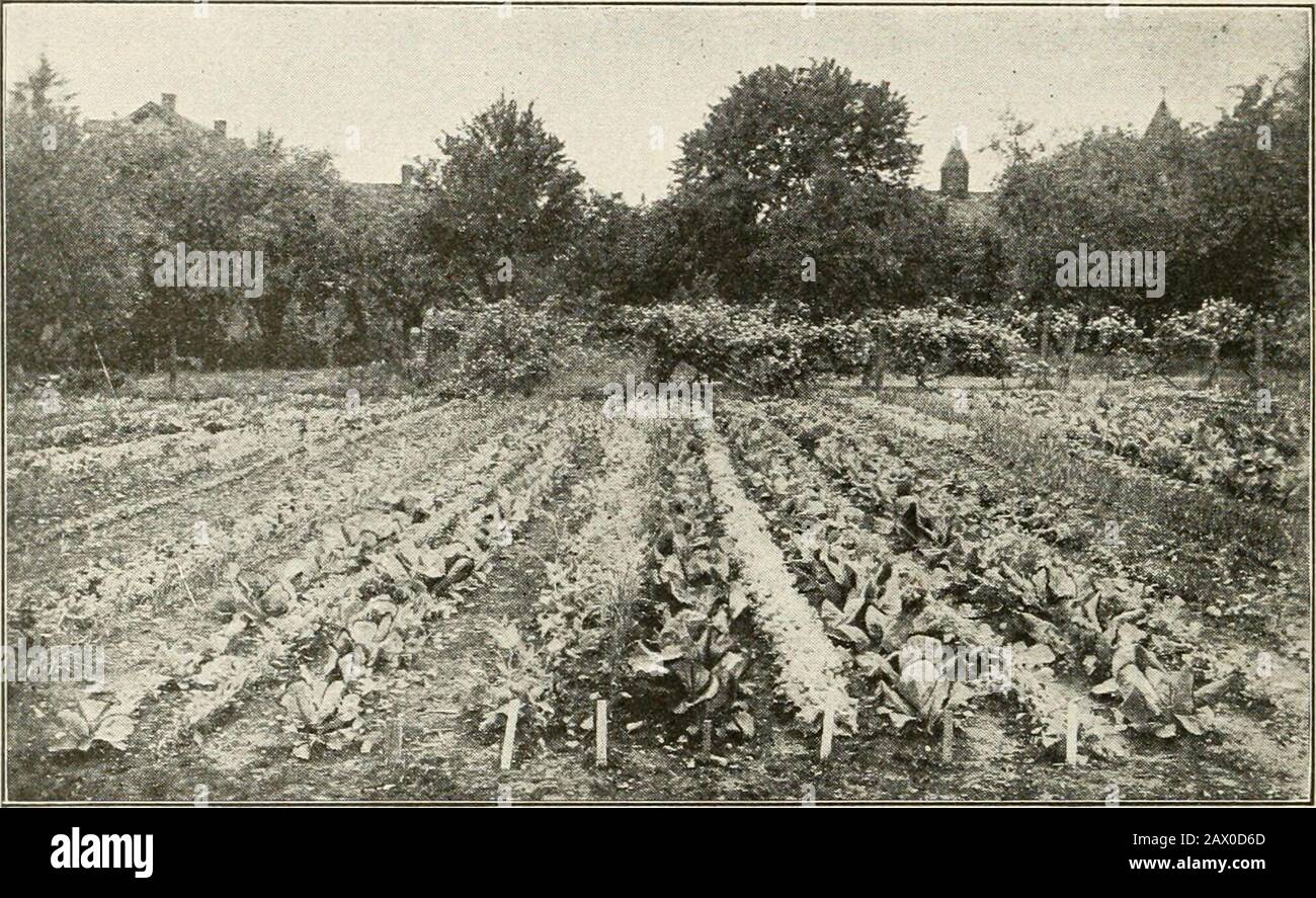 Successful farming : a ready reference on all phases of agriculture for ...