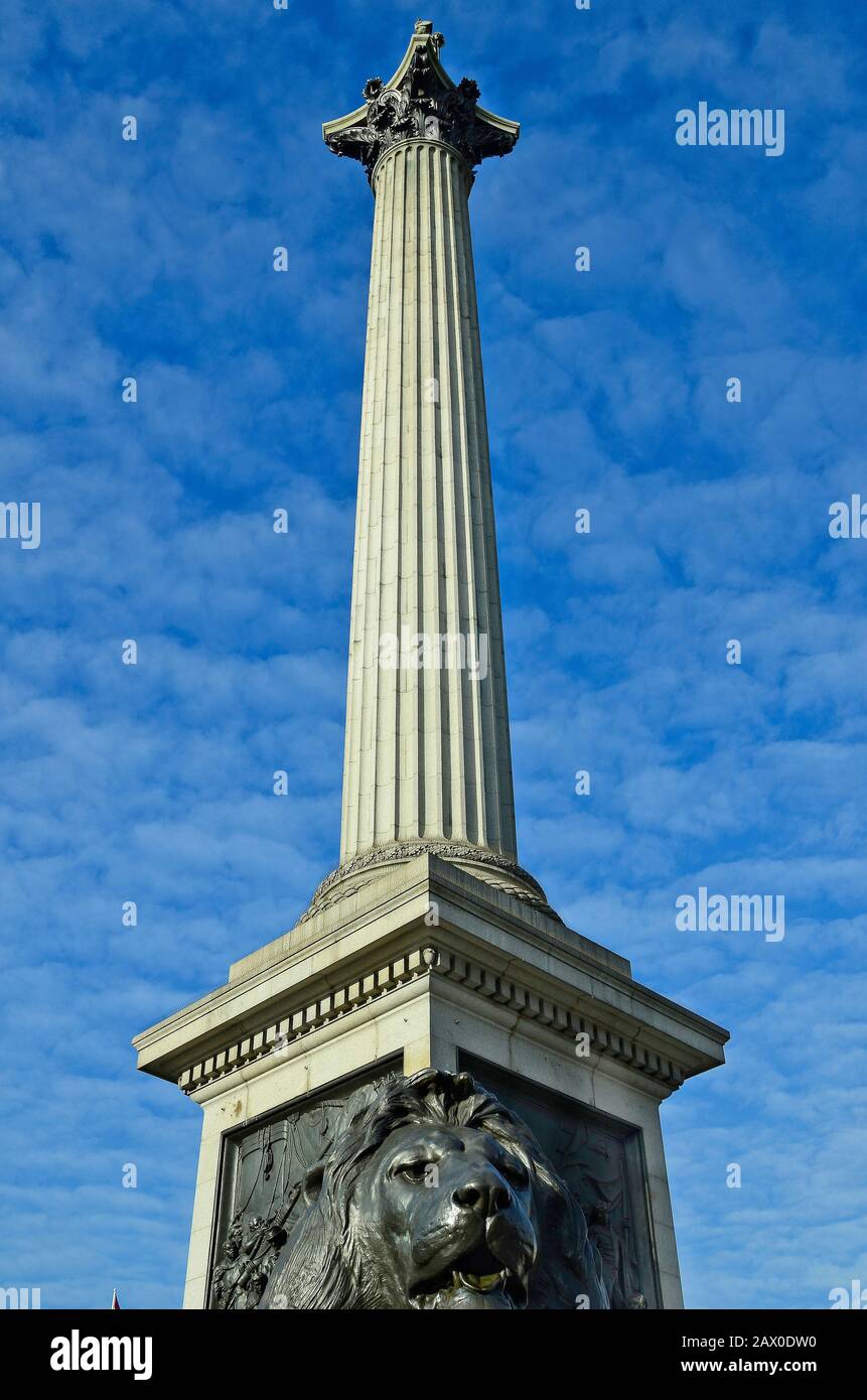 Great Britain, London, Nelson column with bronze lion Stock Photo - Alamy