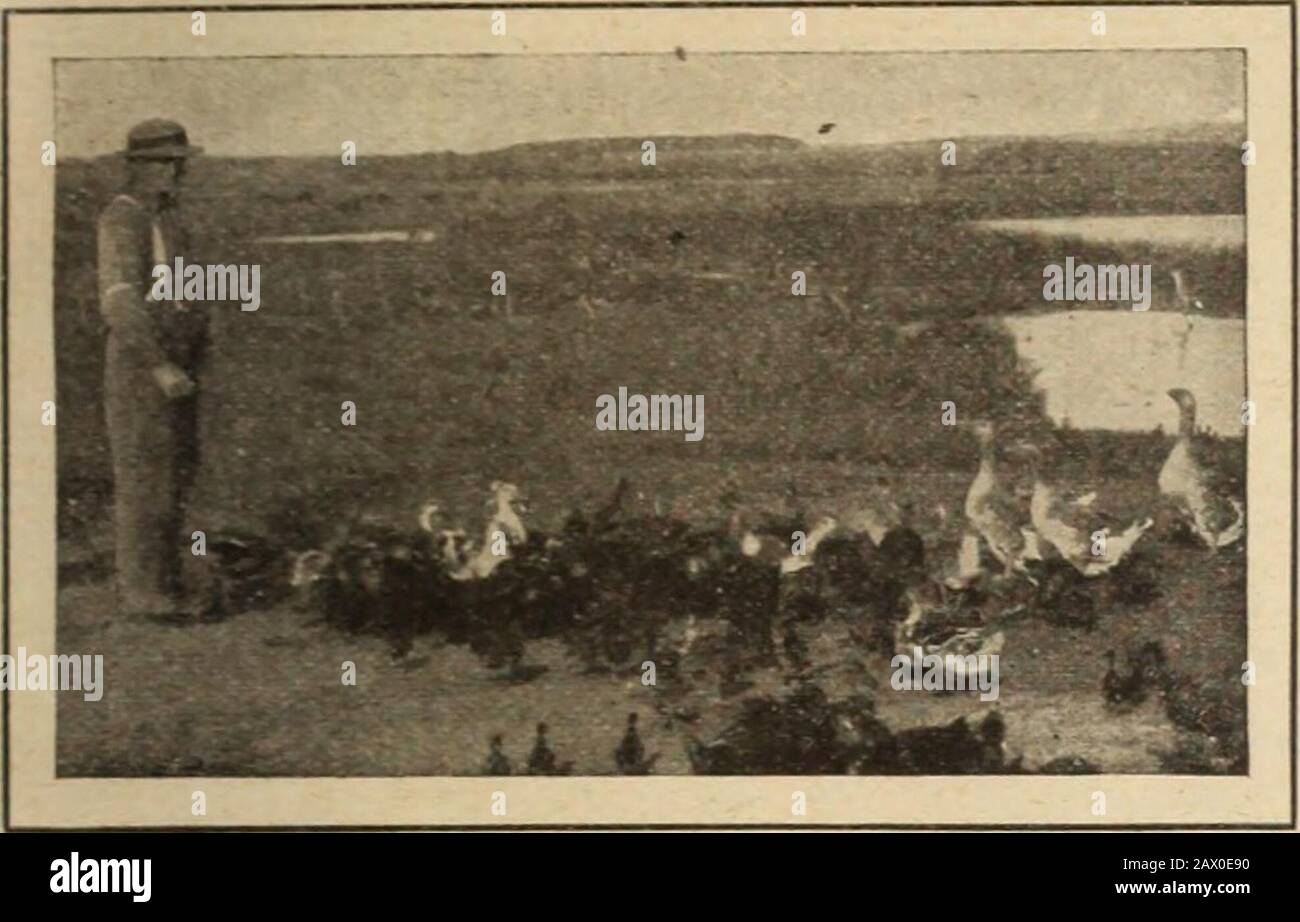 Foremost alberta canada hi-res stock photography and images - Alamy