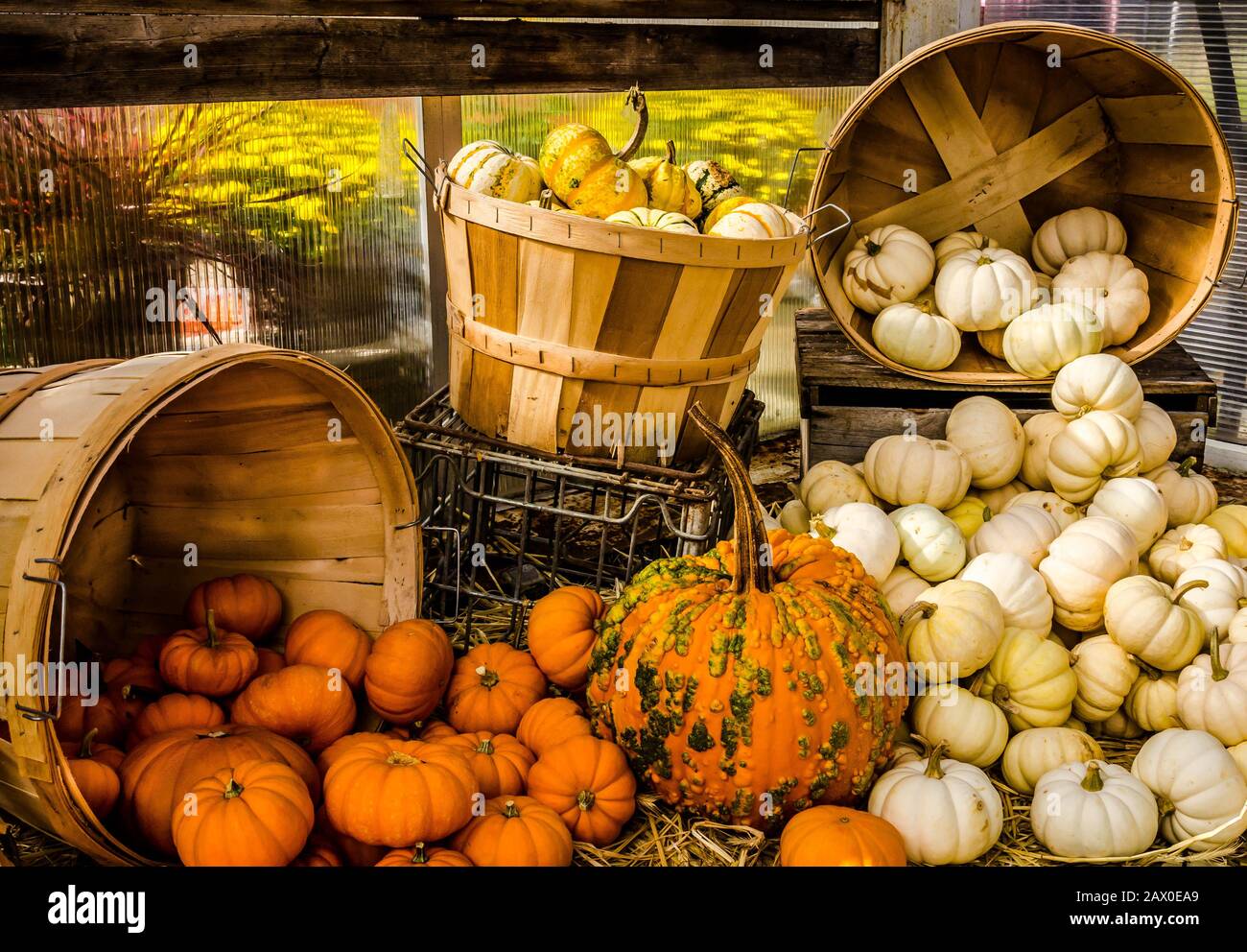 Massachusetts Farm Produce & Vegetables Stock Photo - Alamy