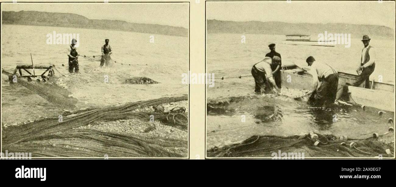 Natural history and propagation of fresh-water mussels . l-iL.. I ...