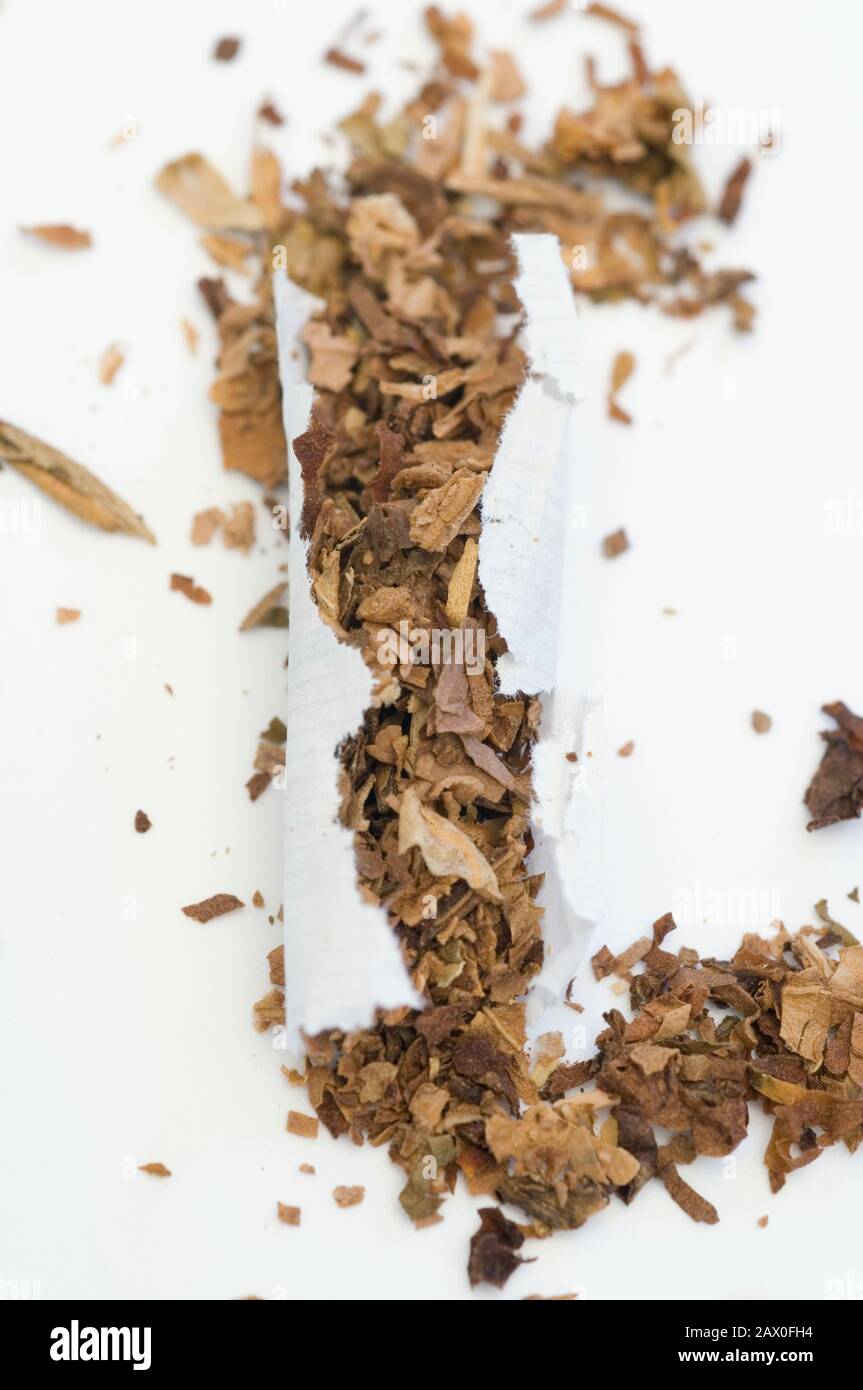 Tobacco broken hi-res stock photography and images - Alamy
