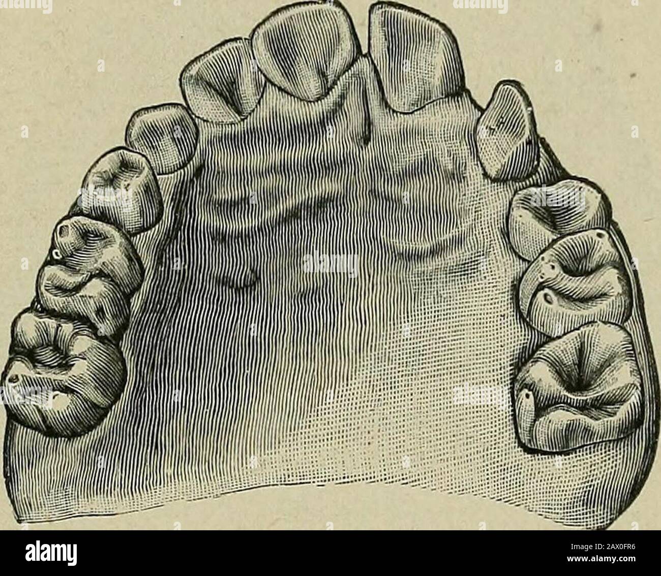 Pinched face hi-res stock photography and images - Alamy