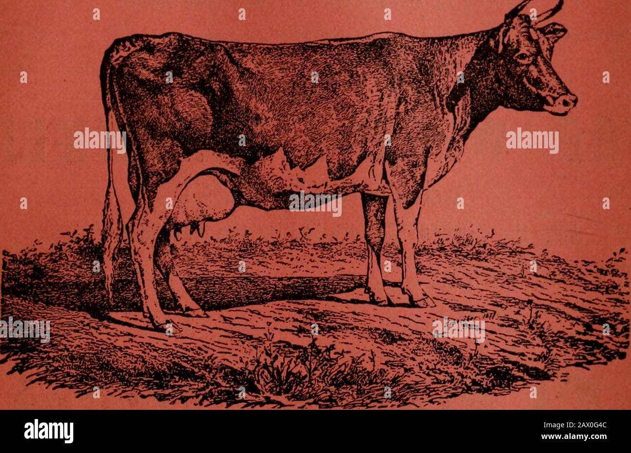 William turk hi-res stock photography and images - Alamy