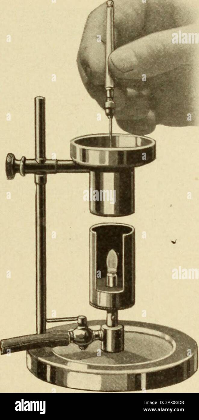 Root necrosis hi-res stock photography and images - Alamy