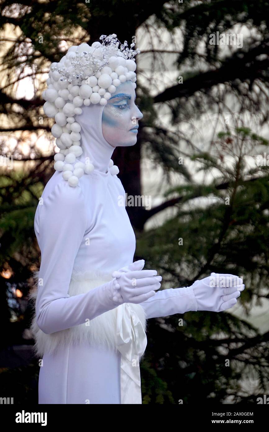 Goddess Of Winter Costume