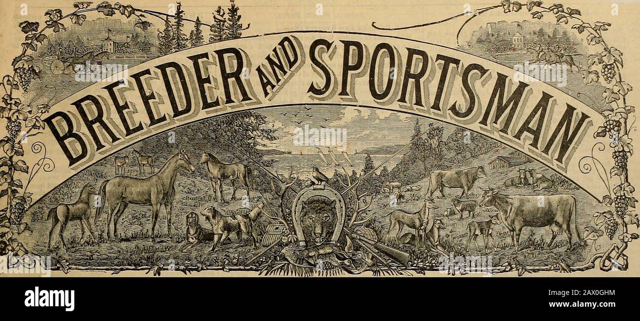 Breeder and sportsman . Vol. XXXI. No 19; No. 313 BOSH STREET. SAN ...