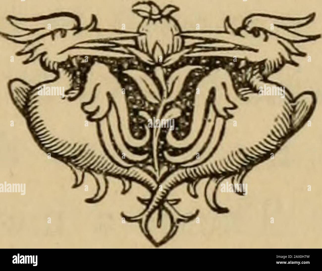 Roguish look hi-res stock photography and images - Alamy