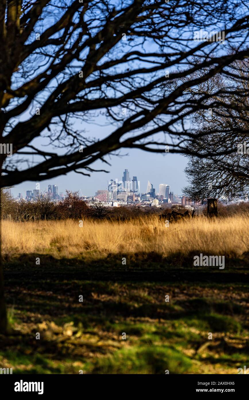 View of Central London and the City of London from Richmond Hill ...