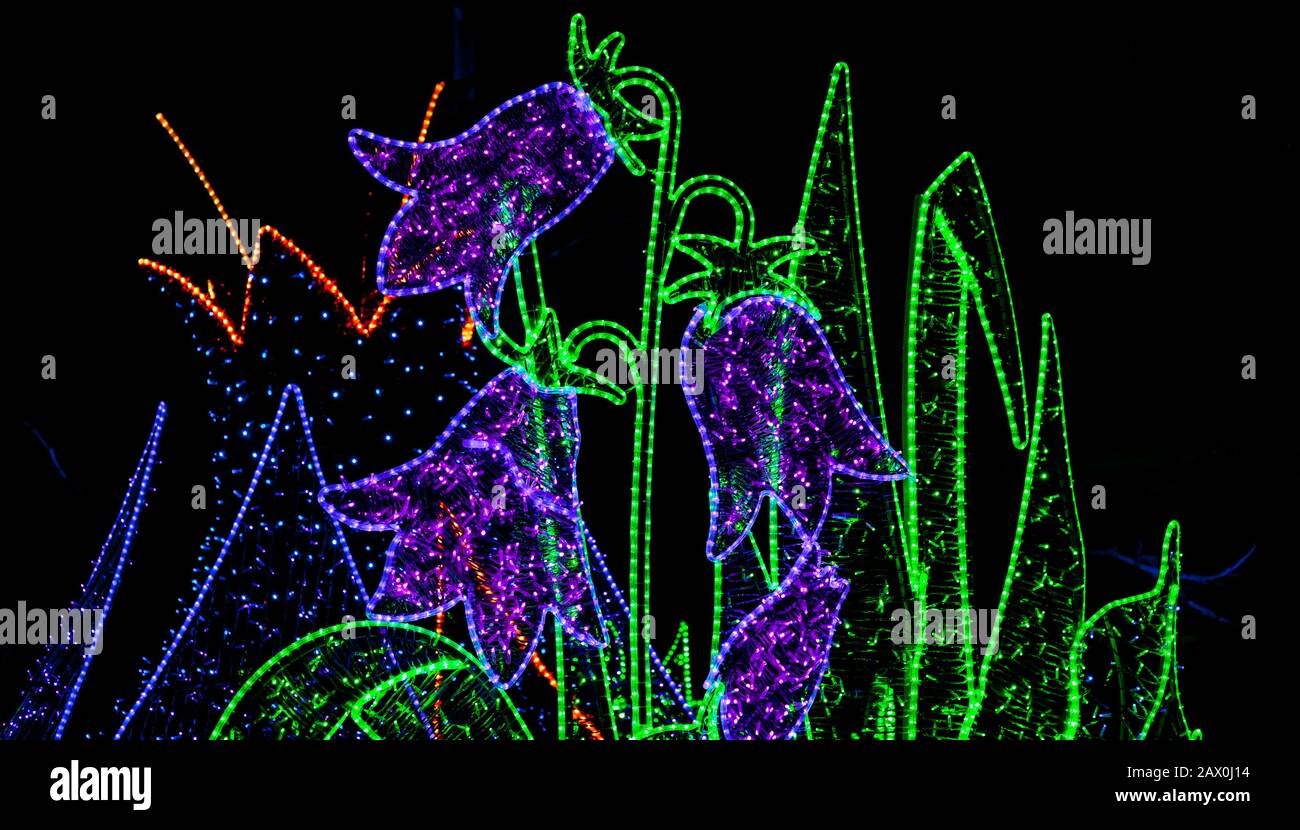 building decoration with Christmas lights Stock Photo - Alamy