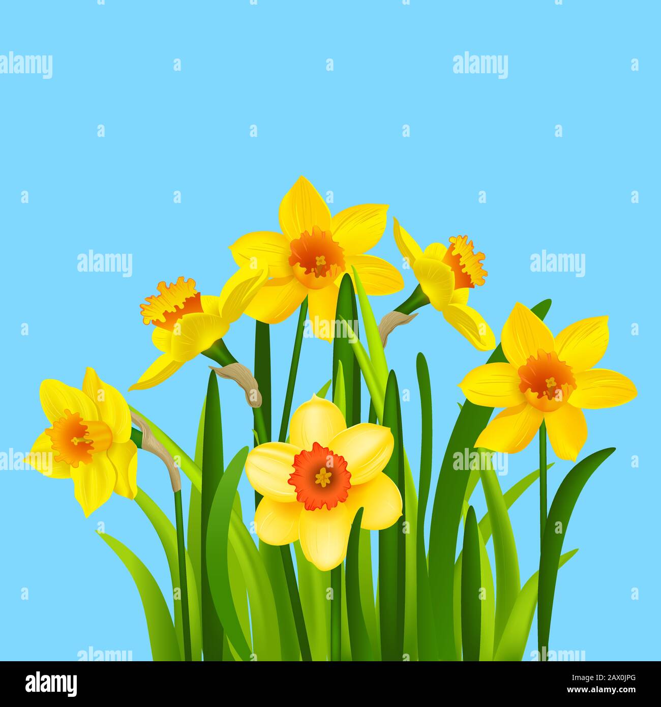 Flower garden background daffodils Stock Vector Images - Alamy