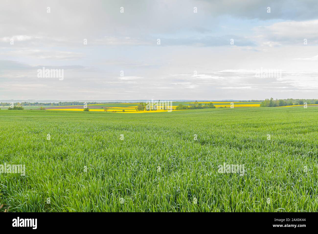 Agricultural Growth -Various Fields - Agriculture Farming Field Stock ...
