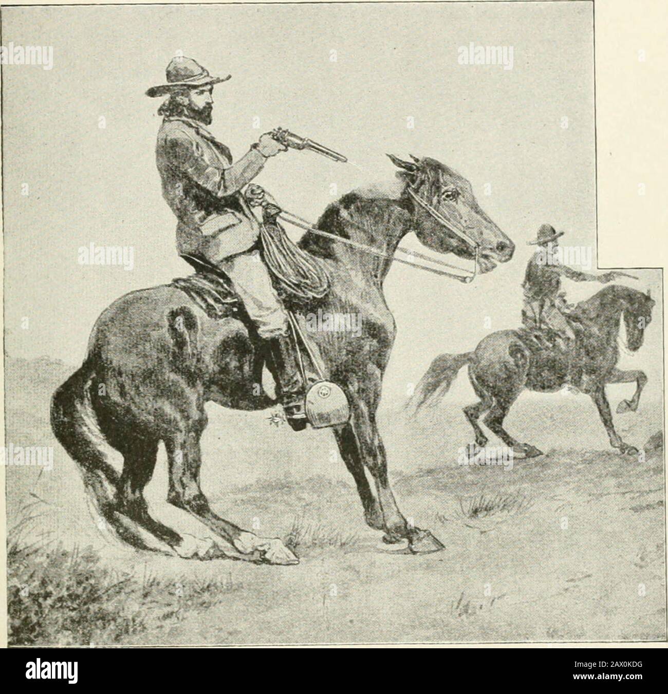 Mounted riflemen hi-res stock photography and images - Alamy