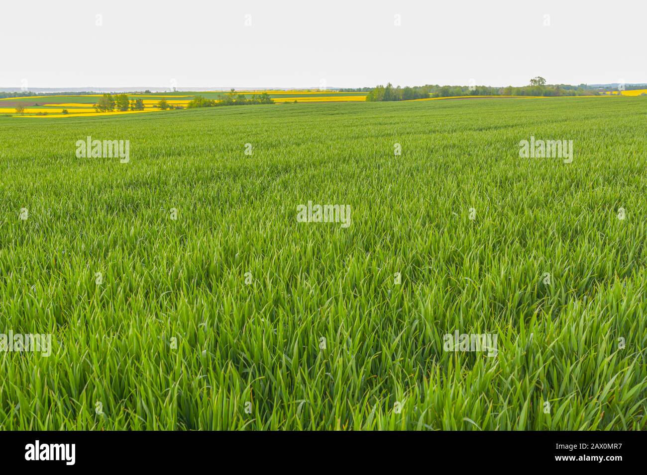 Agricultural Growth -Various Fields - Agriculture Farming Field Stock ...