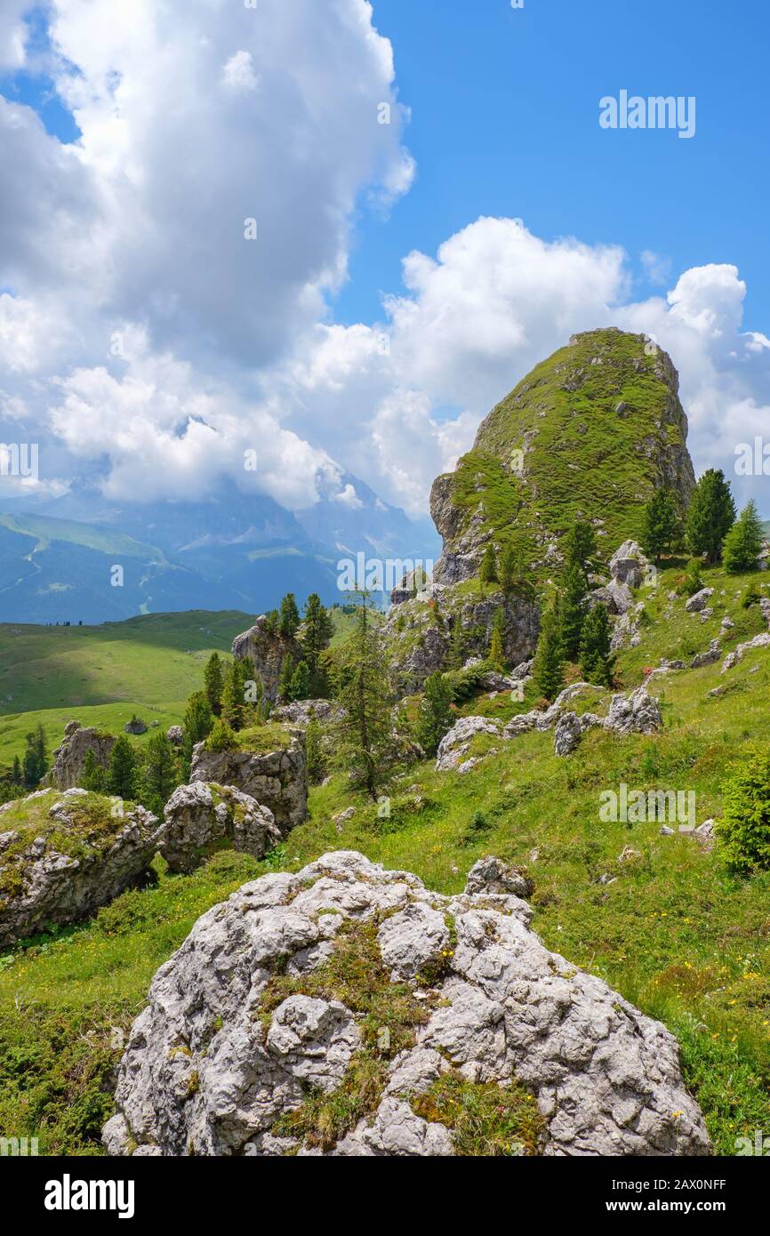 Rocks and greenery alps hi-res stock photography and images - Alamy