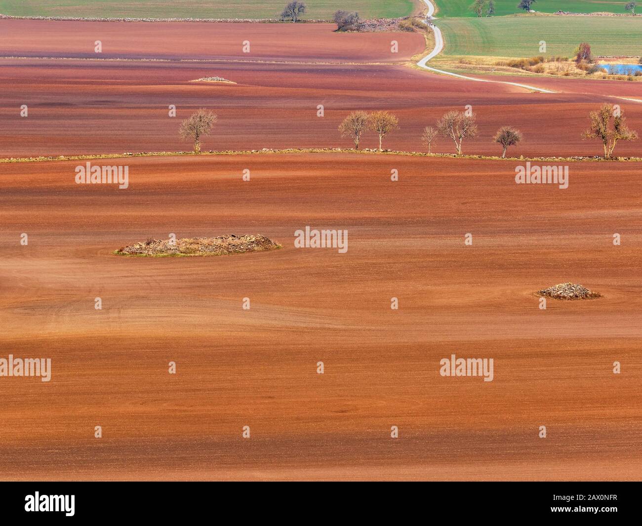 Fields with clearance cairn in a beautiful cultivated land in spring ...