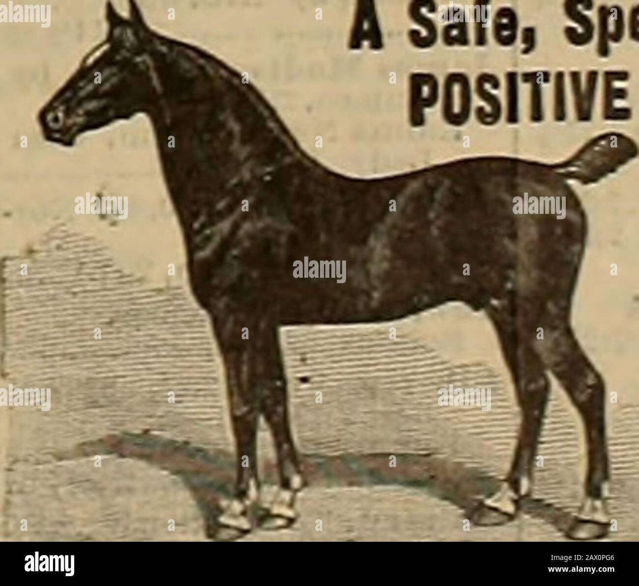 Bargeon hi-res stock photography and images - Alamy