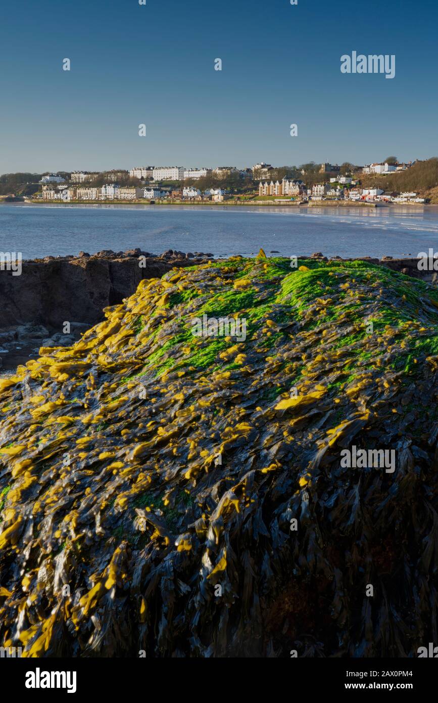 Coastline filey brigg hi-res stock photography and images - Alamy