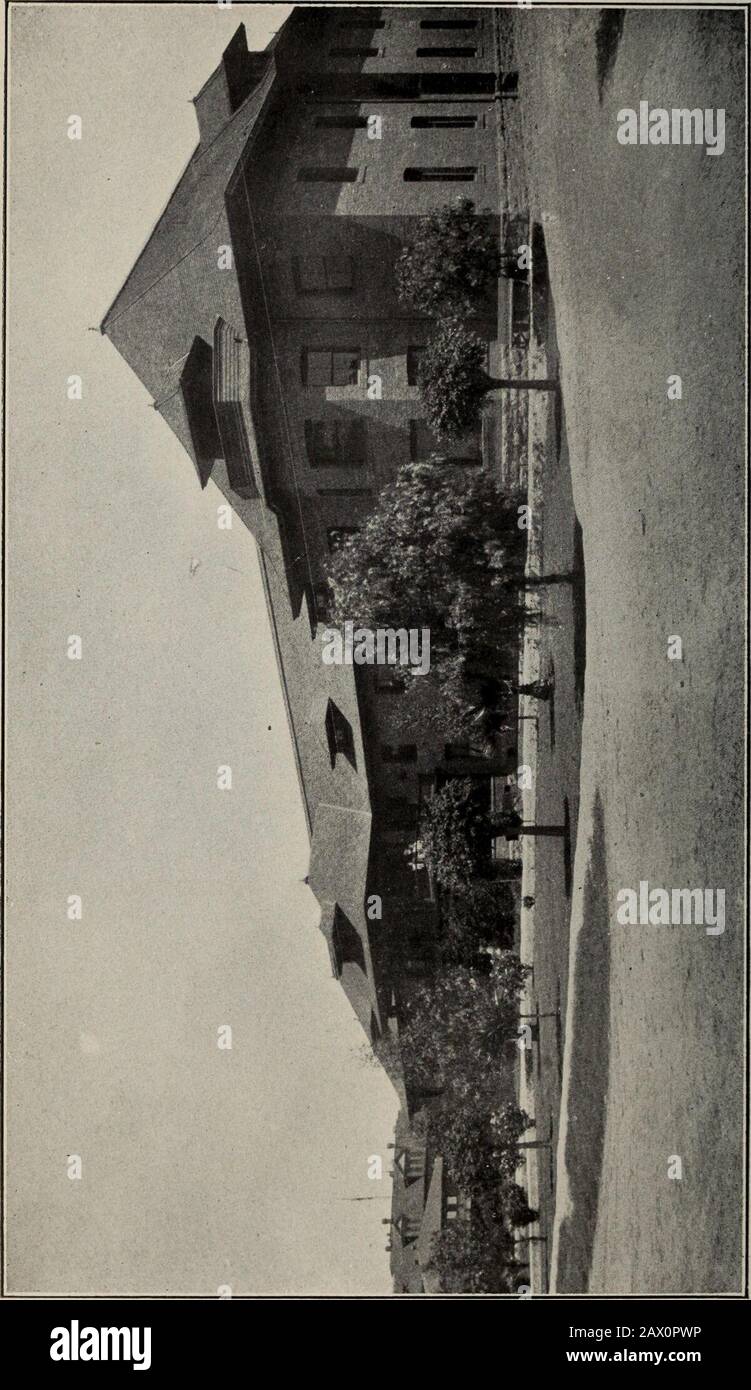 Catalogue of the Arizona Territorial Normal School at Tempe, Arizona ...