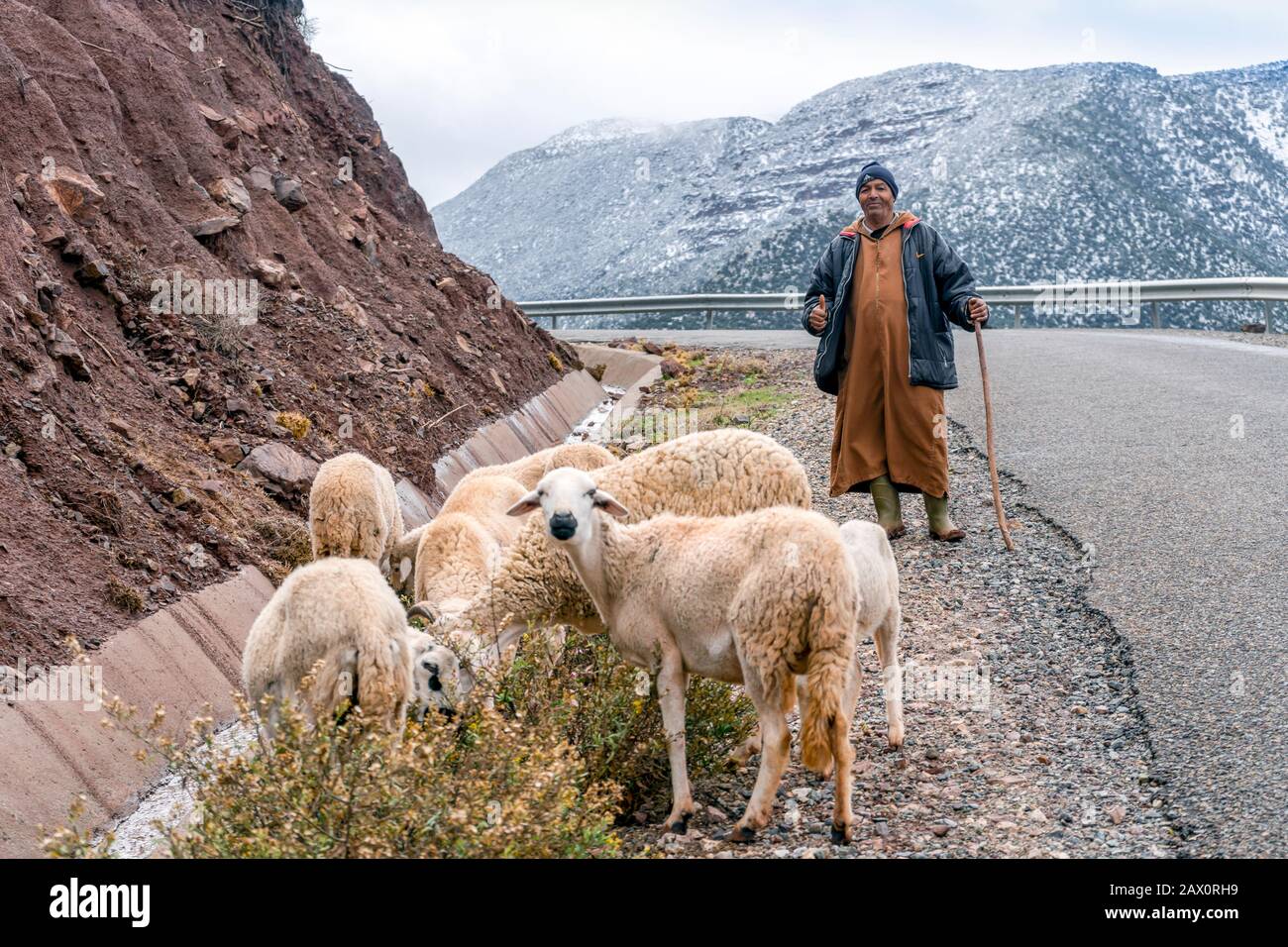 Tighedouine, Morocco - January 16, 2020: Berber shepherd with his flock ...