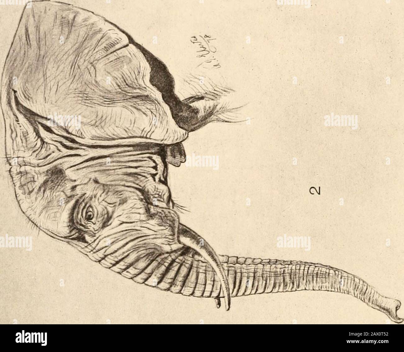 Death haunts hi-res stock photography and images - Alamy