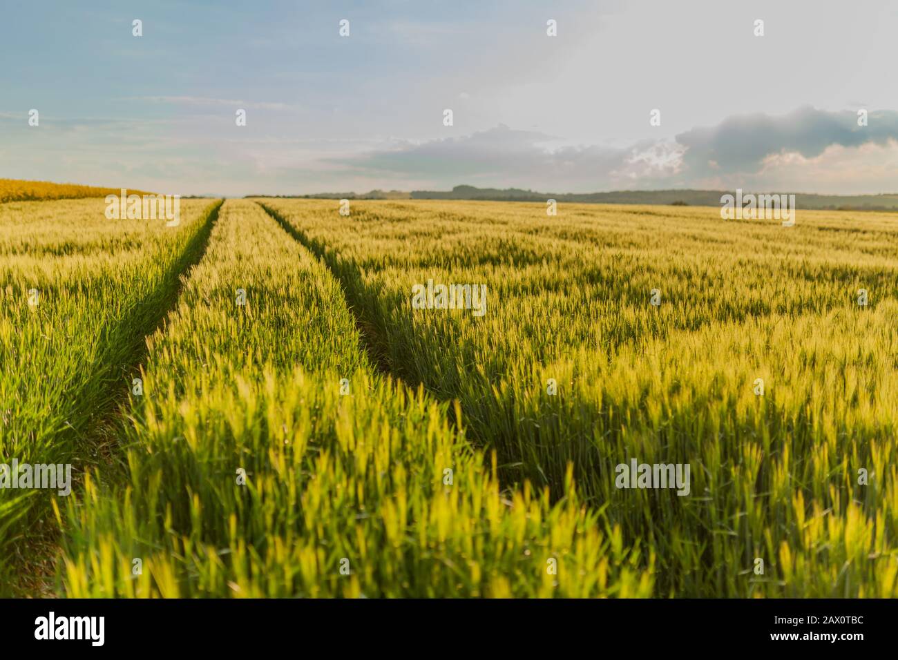 Agricultural Growth -Various Fields - Agriculture Farming Field Stock ...
