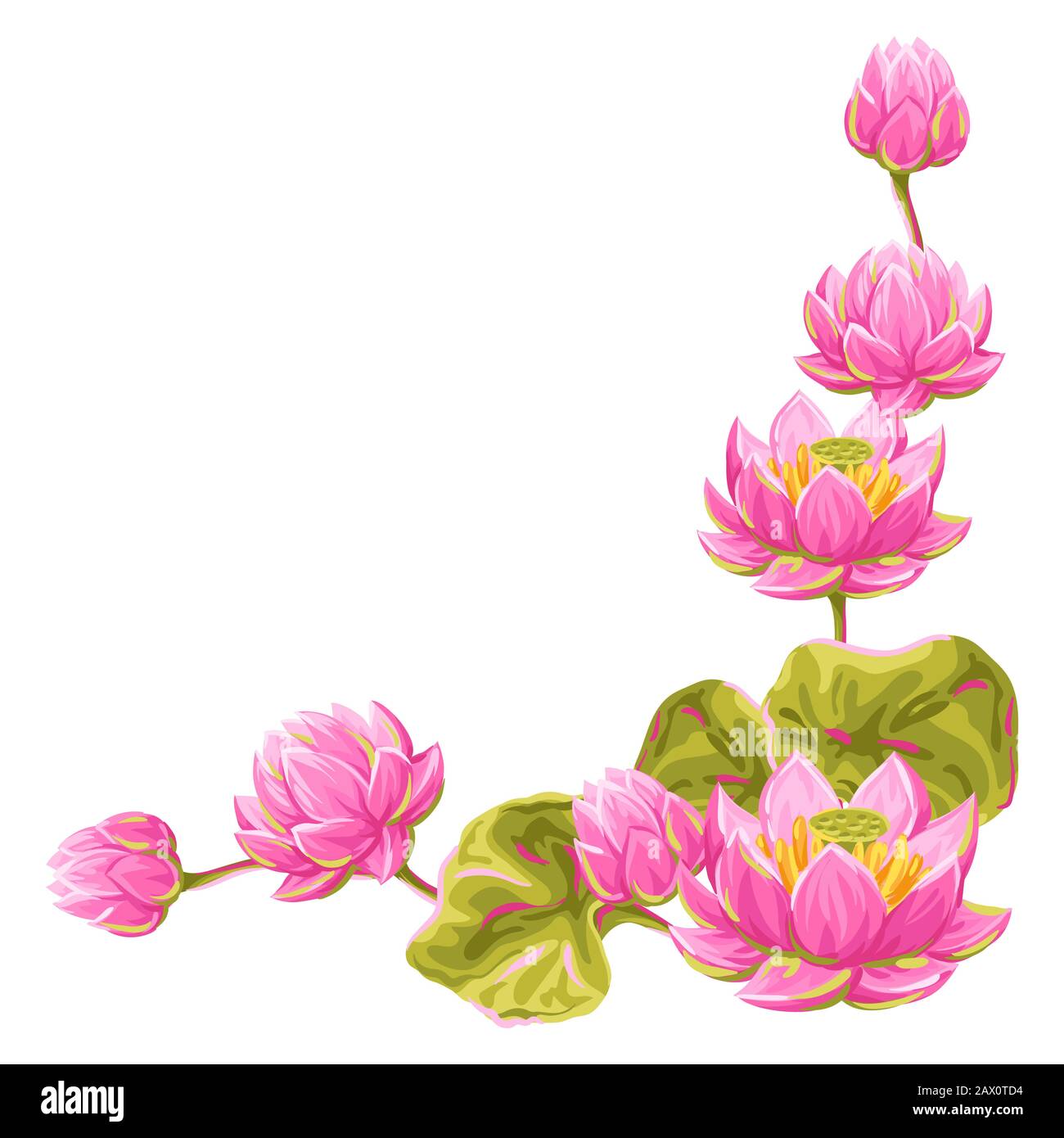 Decorative element with lotus flowers. Water lily illustration Stock ...