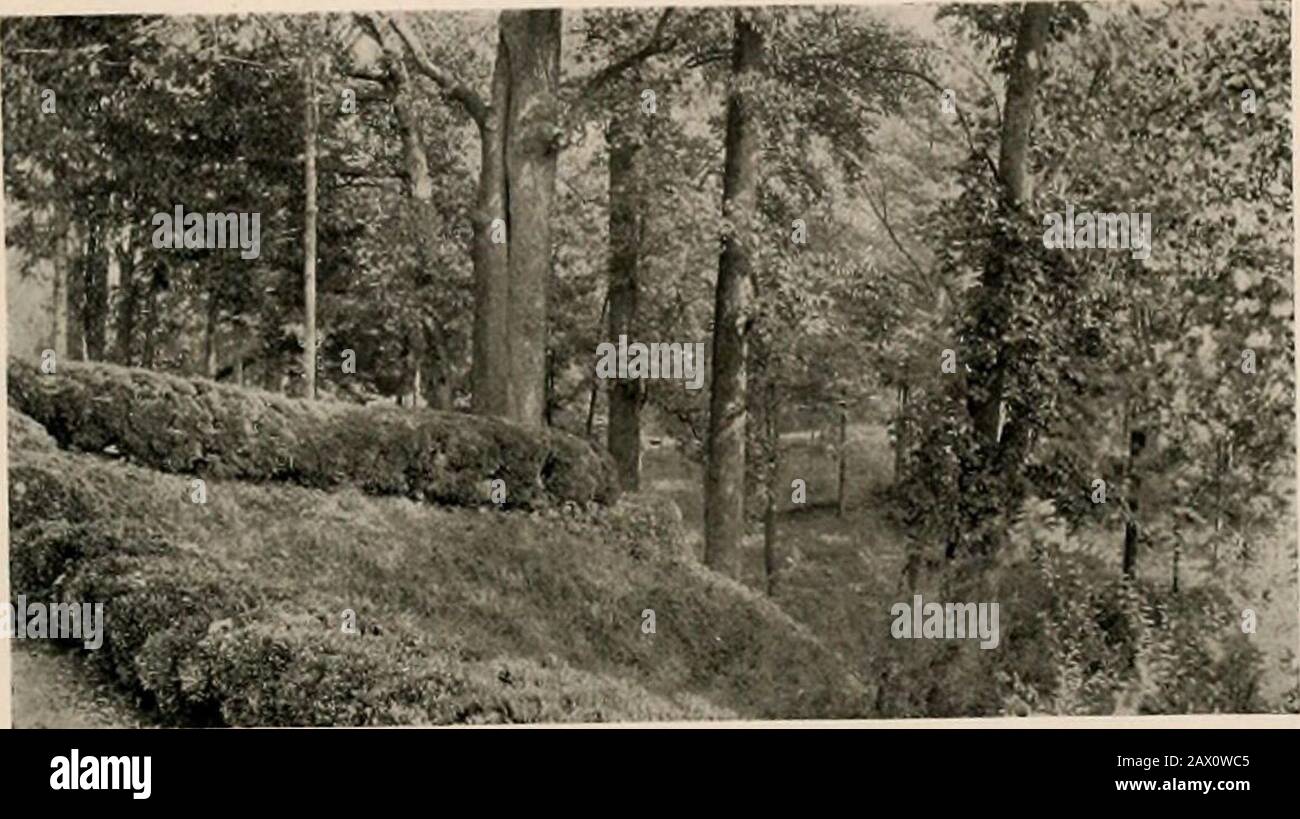 Lkai hi-res stock photography and images - Alamy