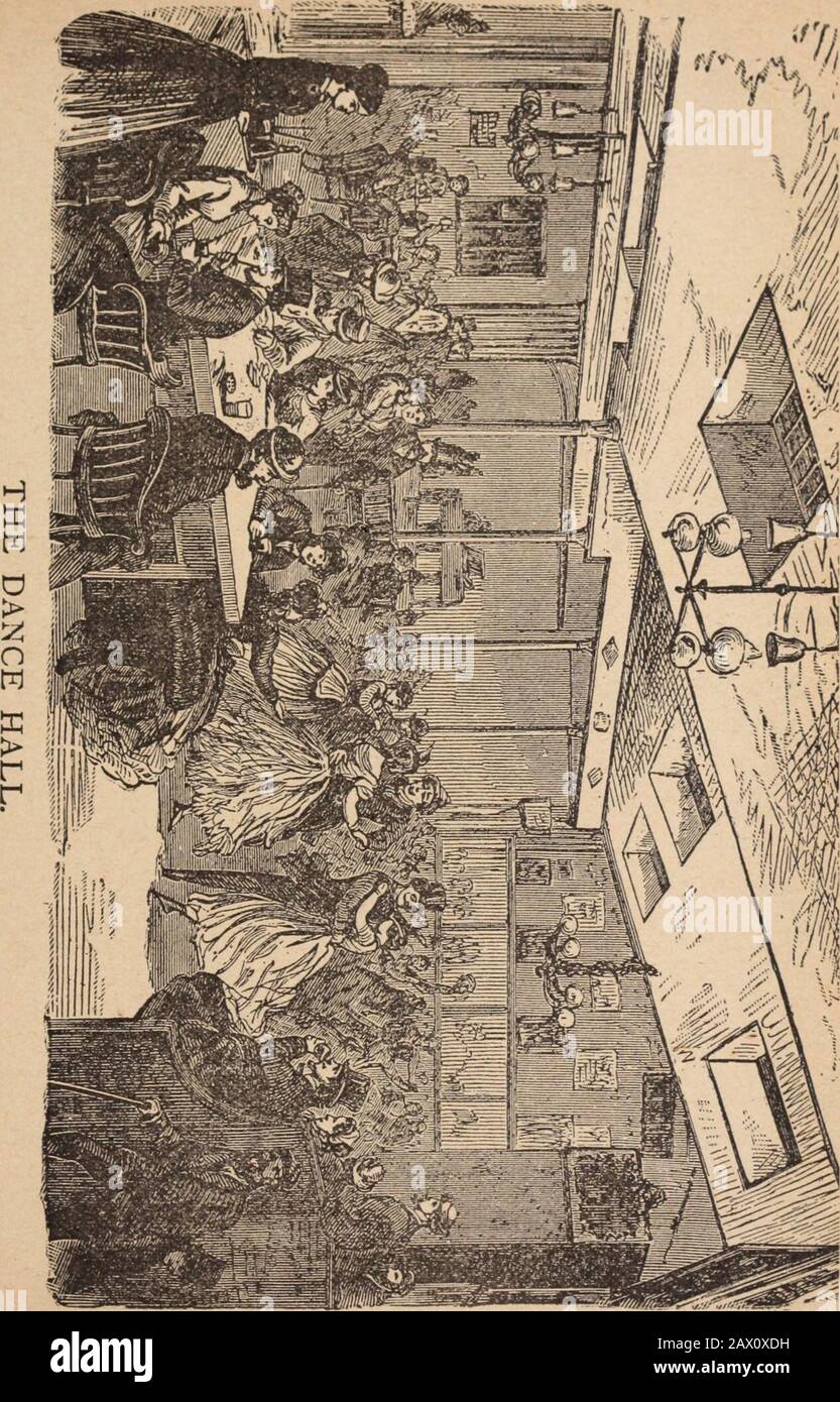 Creeping things hi-res stock photography and images - Alamy