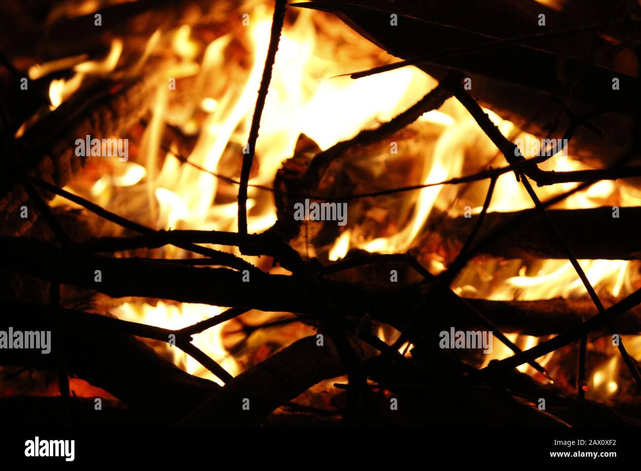 Nature love near see with fire light and romantic lighting Stock Photo ...