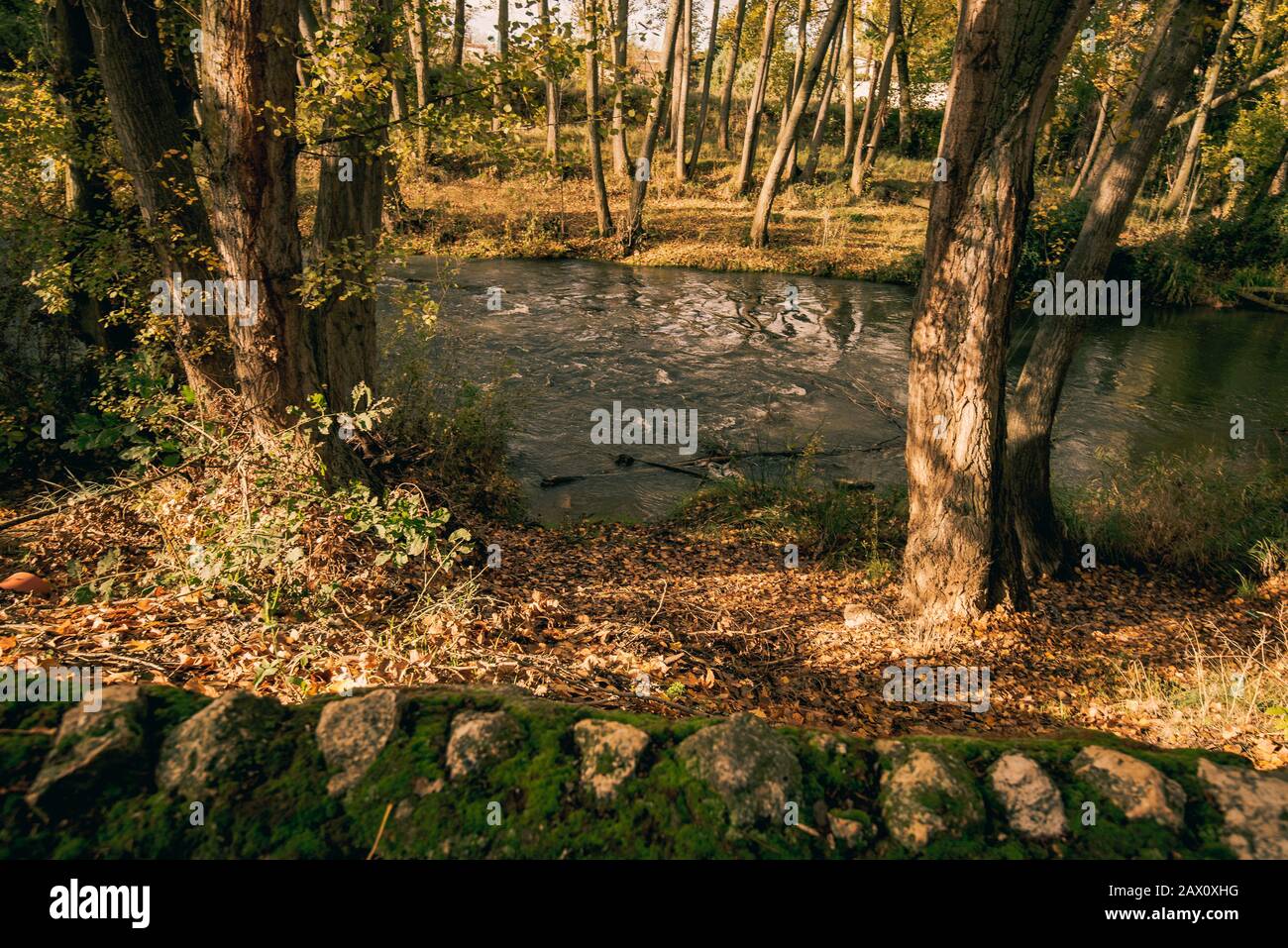 carrion river in winter, rio carrion, palencia, spain Stock Photo - Alamy