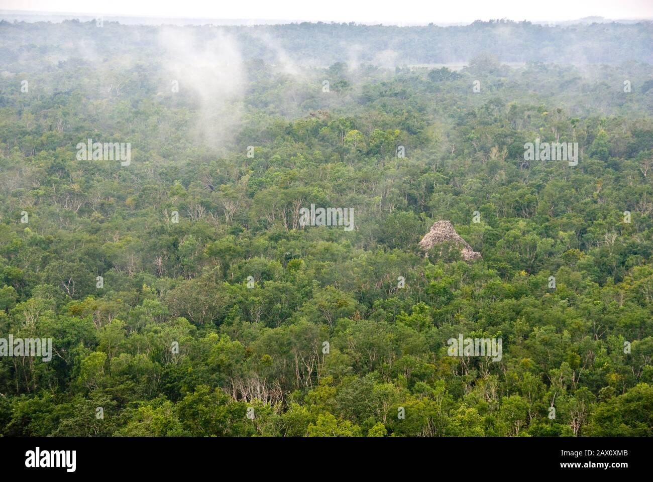 Mayan pyramid standing in midst of a steaming tropical wilderness as ...